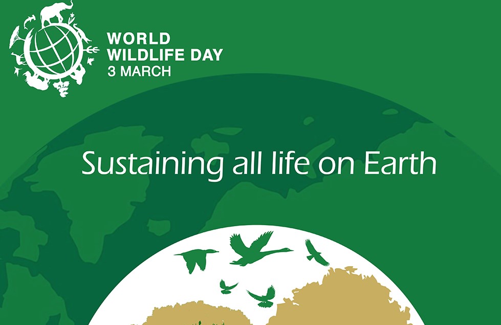World Wildlife Day observed globally on 3rd March