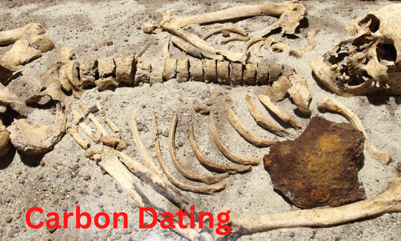 What is Carbon Dating? Know how it works and its uses