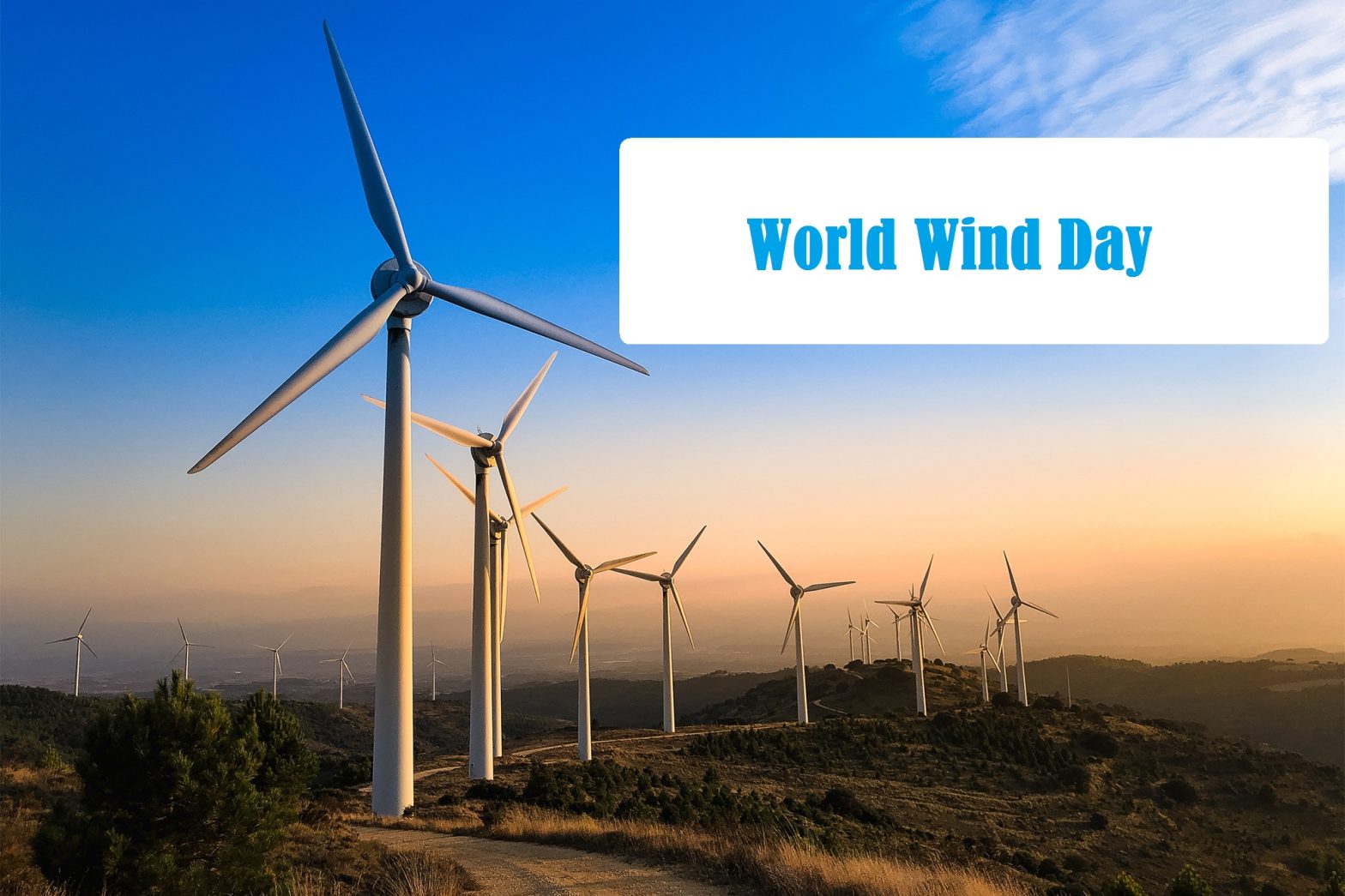 Global Wind Day 2023: Date, Significance and History