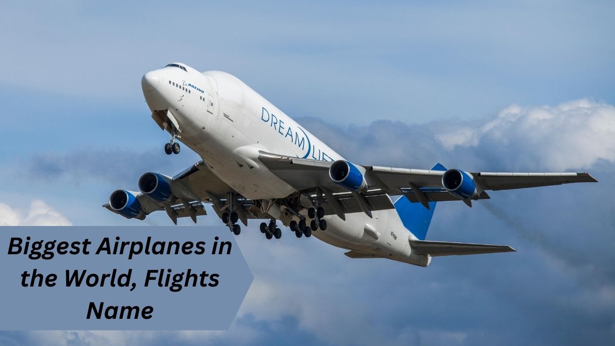 Biggest Airplane in the World, Flights Name