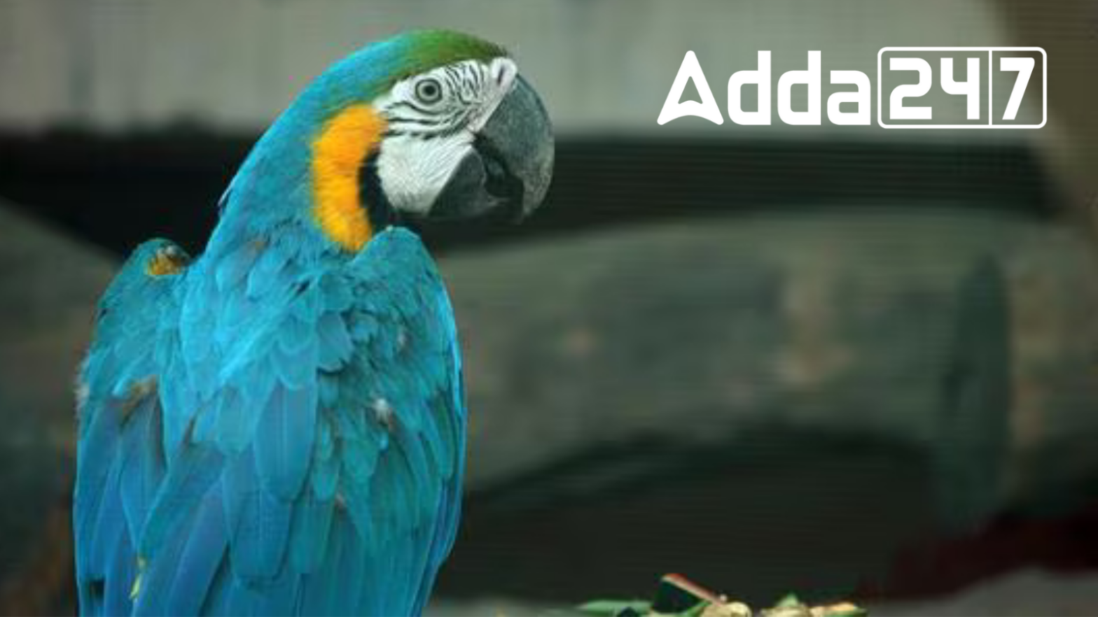 Center Releases Regulations For Captive Exotic Wildlife